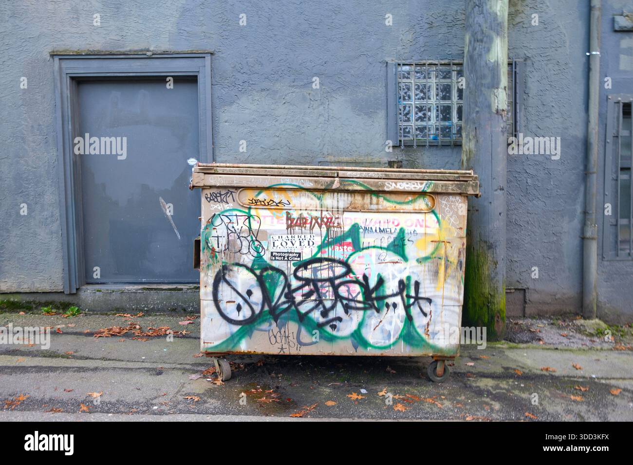 A graffitied garbage bin down an alley, Vancouver, BC Stock Photo - Alamy