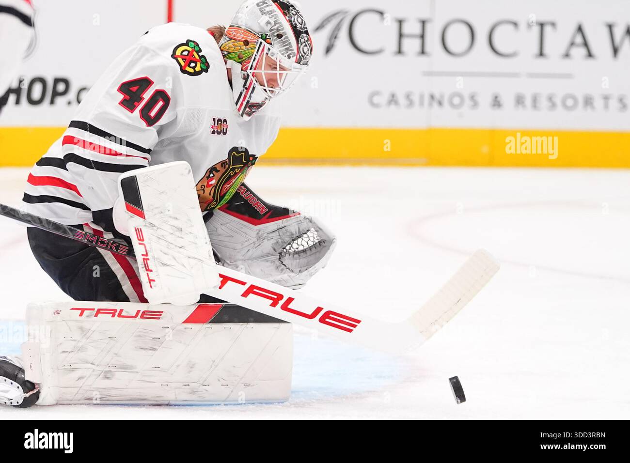 Chicago Blackhawks goaltender Arvid Soderblom defends the goal during ...