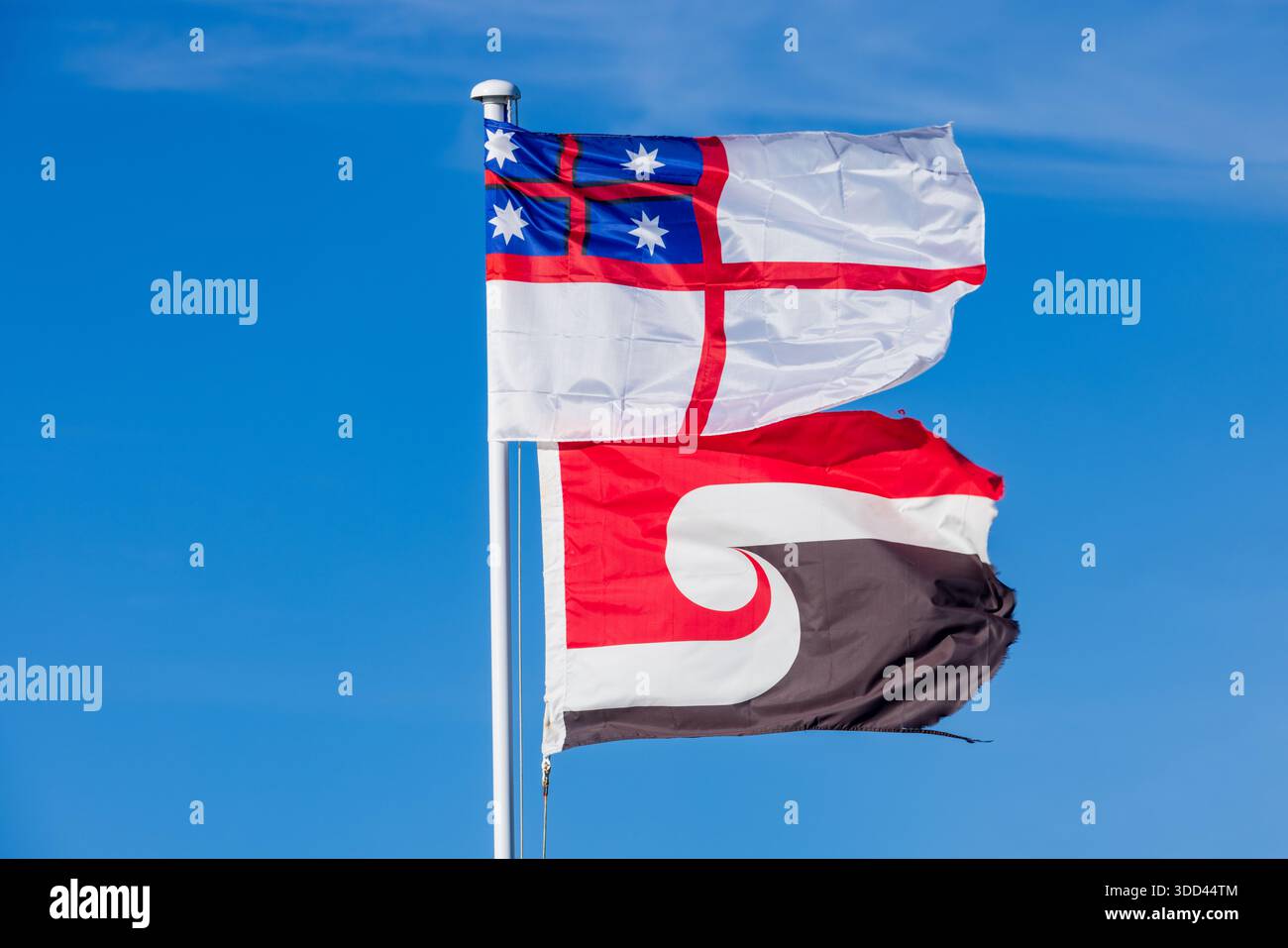 Maori koru hi-res stock photography and images - Alamy