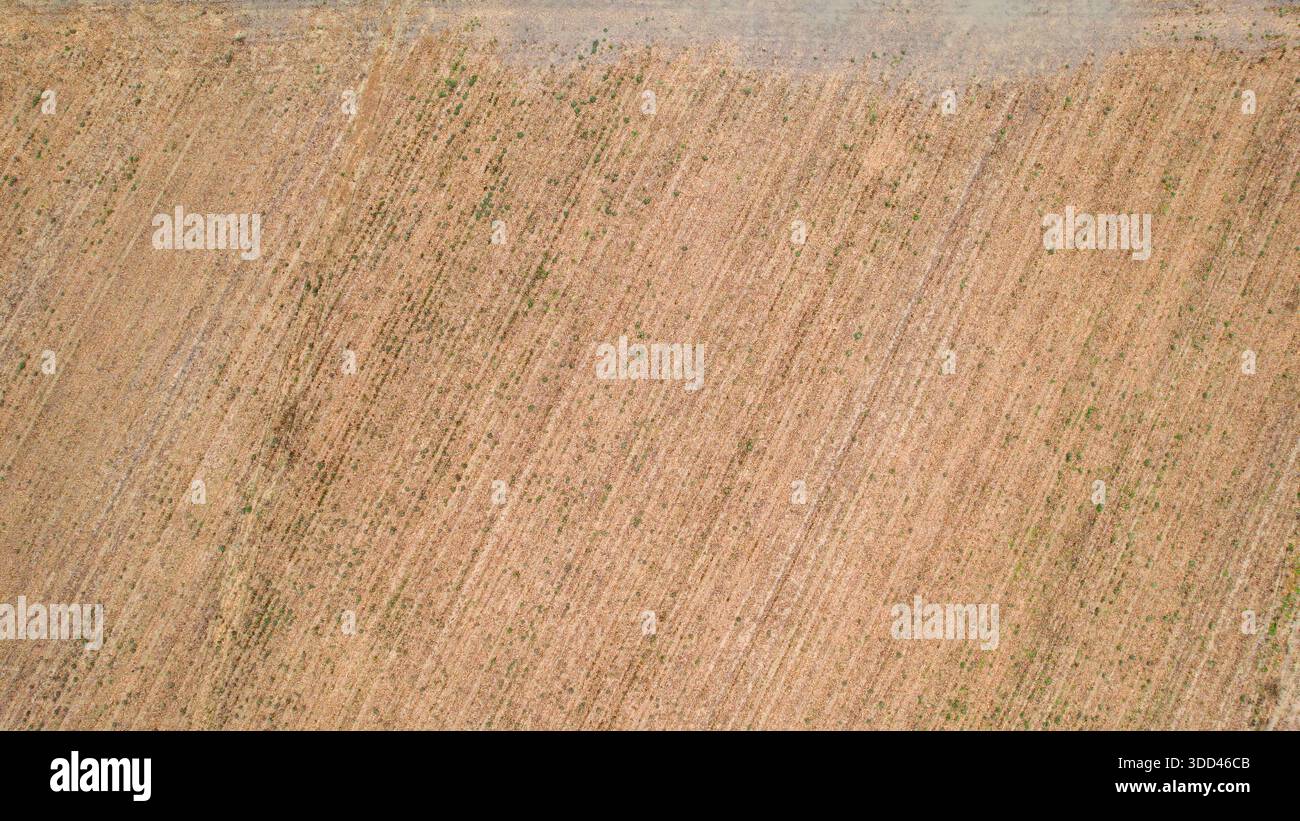 Arid agricultural field seen from above, linear dry soil and sparse ...