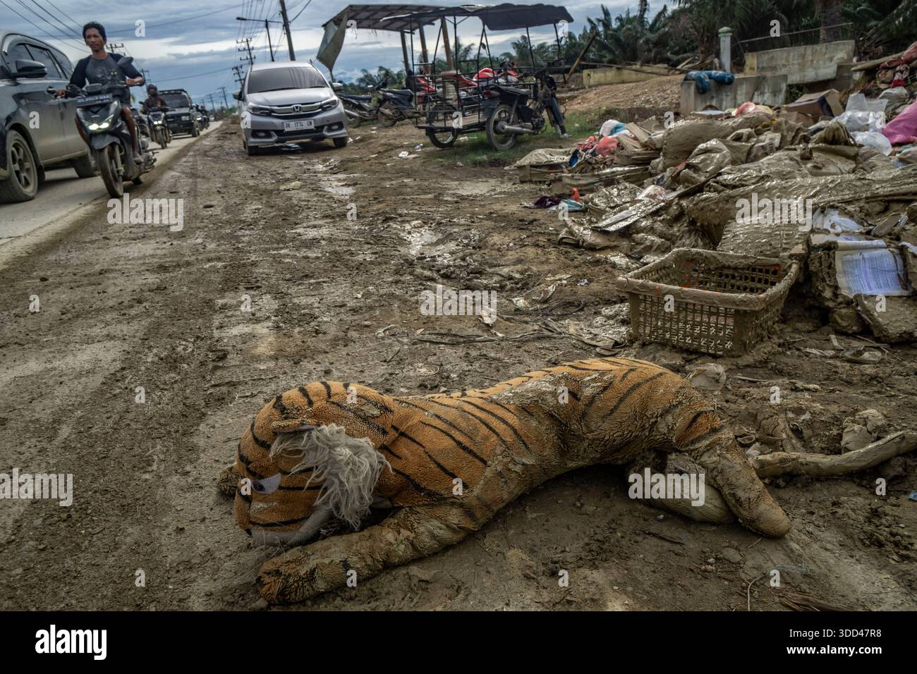 A tiger doll is seen impacted by mud following flash floods triggered ...
