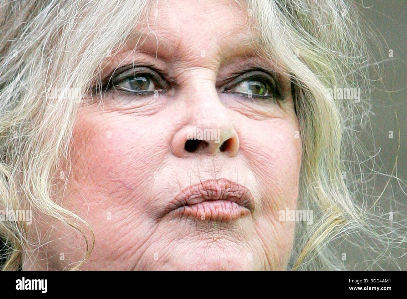 FILE - French film legend and animal rights activist Brigitte Bardot ...