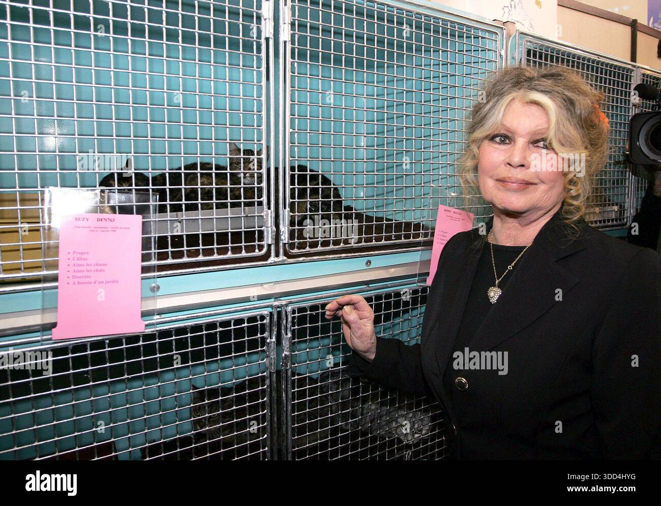 Legendary French actress Brigitte Bardot and French singer Johnny ...