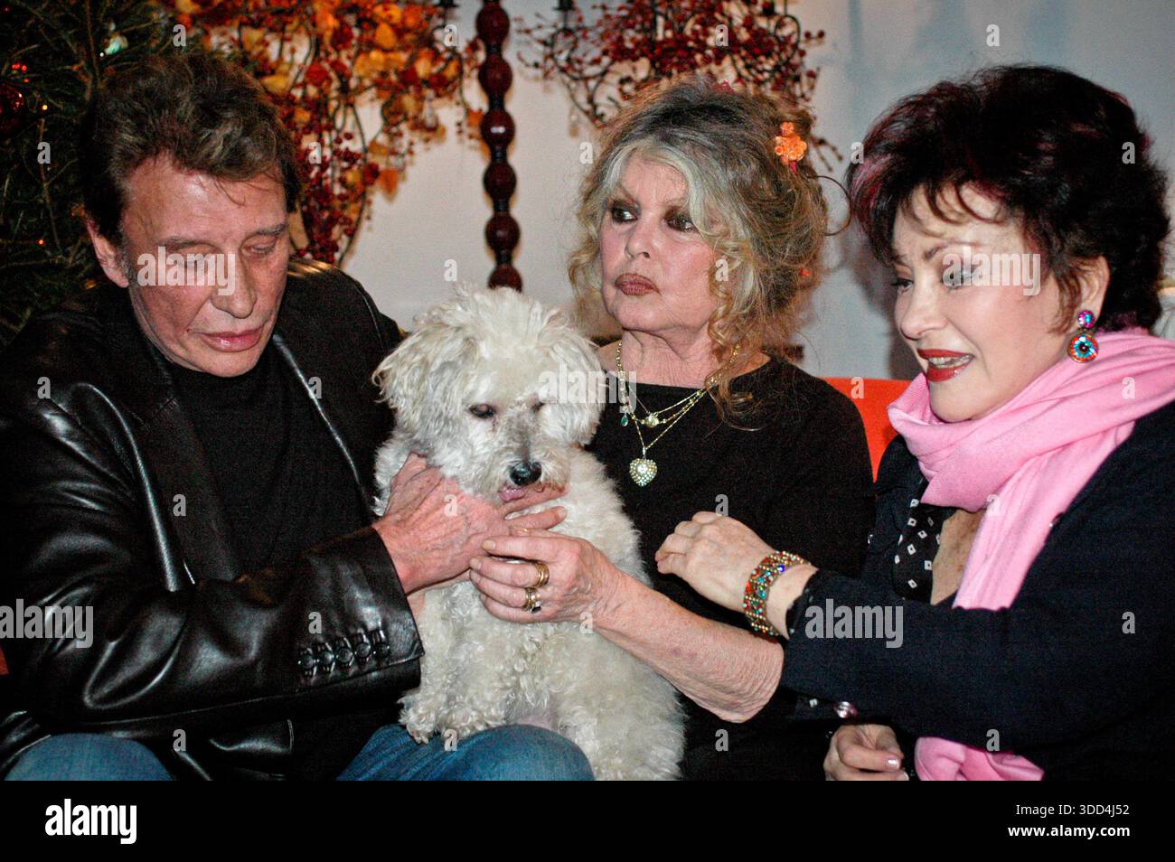 LE NOEL DES ANIMAUX ORGANISE PAR LA FONDATION BARDOT A LEVALLOIS PERRET ...
