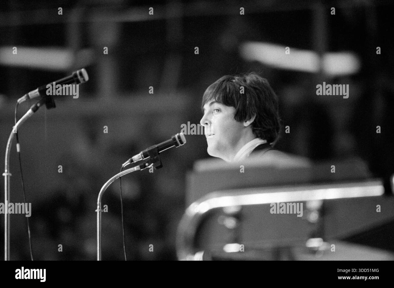 Bass und gitarrist james paul mccartney hi-res stock photography and ...