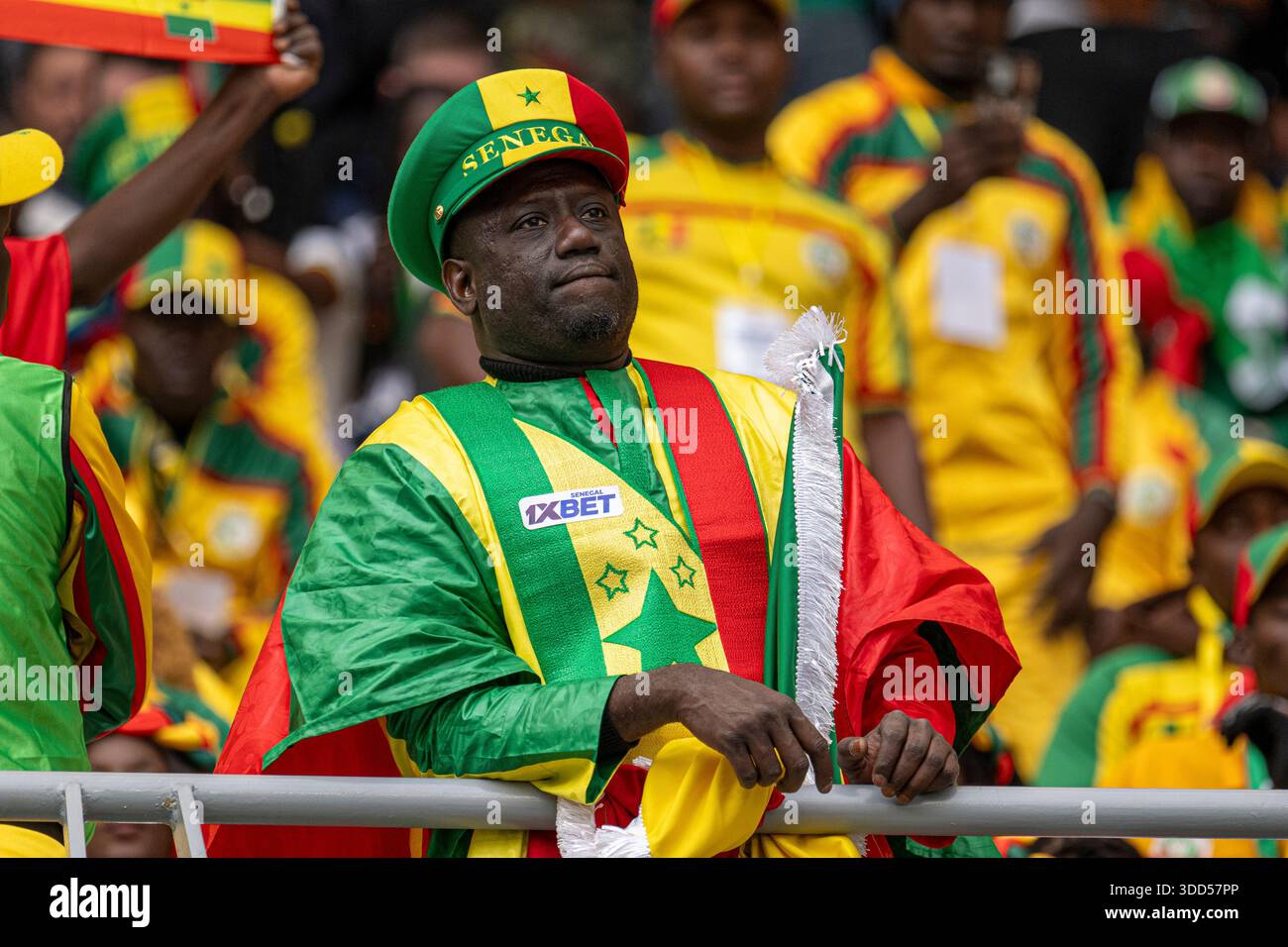 Senegalese fan enjoy the atmosphere during the Africa Cup of Nations ...
