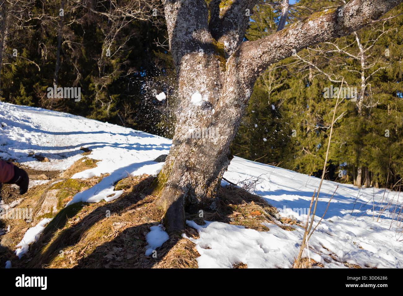Bursts on impact hi-res stock photography and images - Alamy