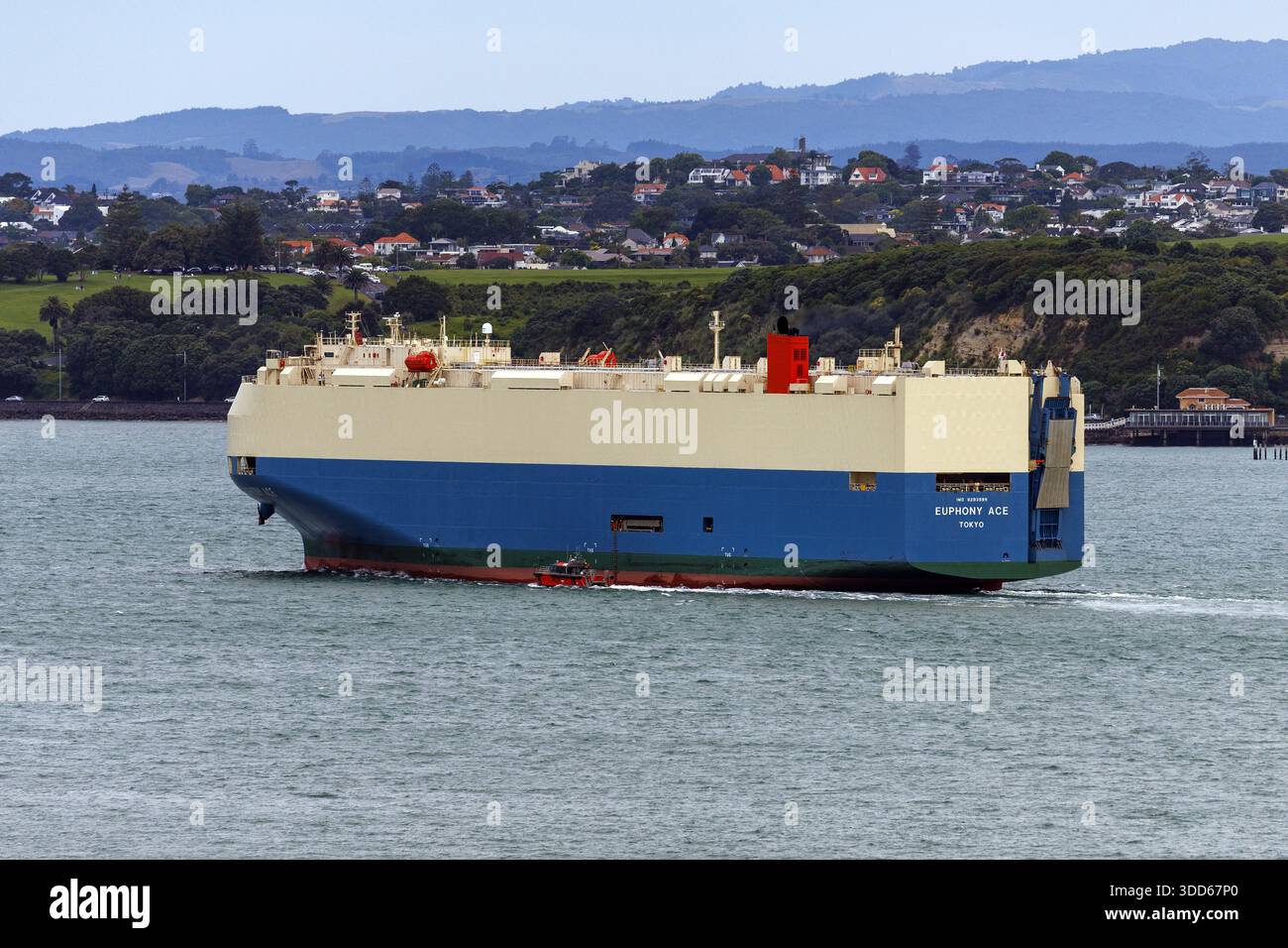 The vessel EUPHONY ACE (IMO 9293595, MMSI 431434000) is a Vehicles ...