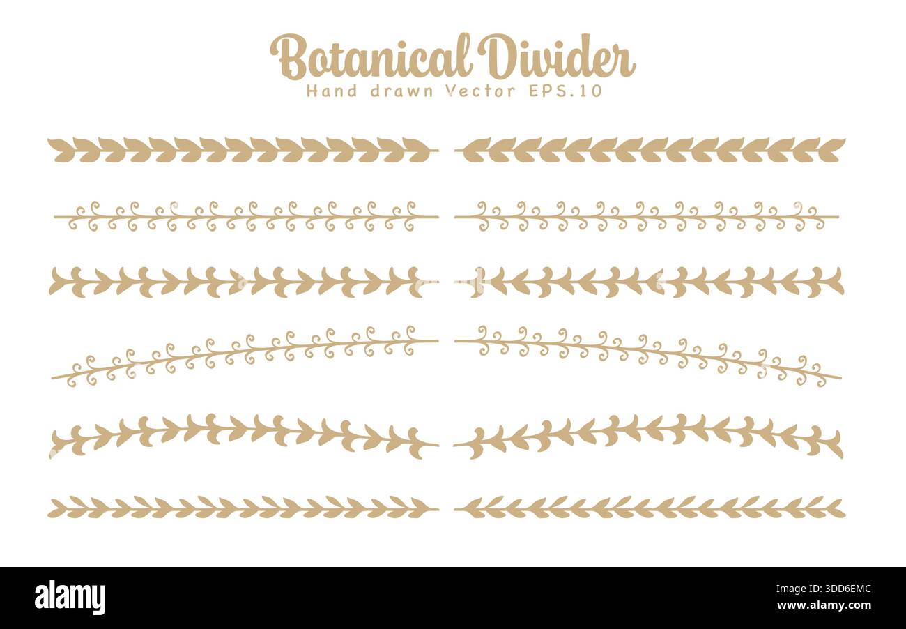 Nature Leaves Divider Vintage Collection Horizontal Border Line Art ...