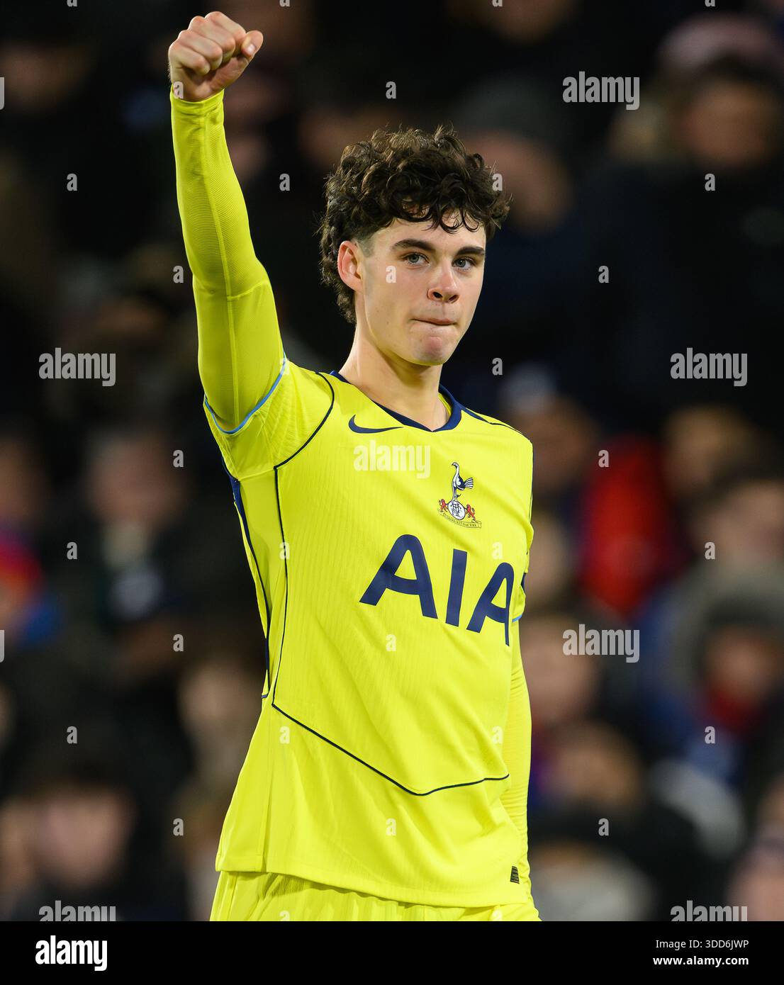 Crystal Palace v Tottenham Hotspur - Premier League - Selhurst Park ...