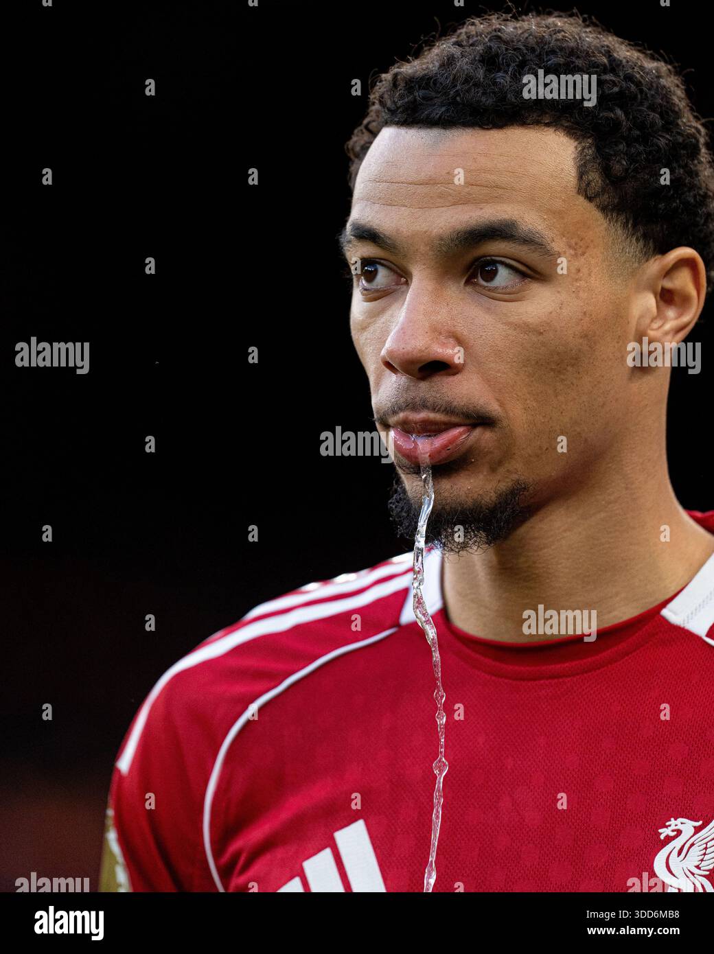 Hugo Ekitike of Liverpool is seen during the Premier League match ...