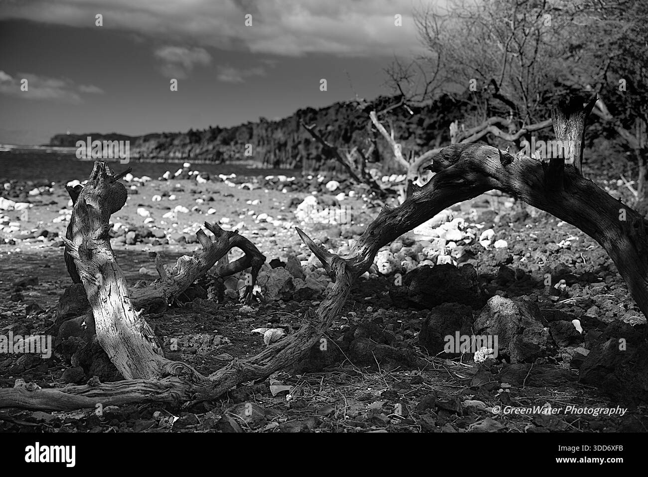 Remote tropical beach Black and White Stock Photos & Images - Alamy