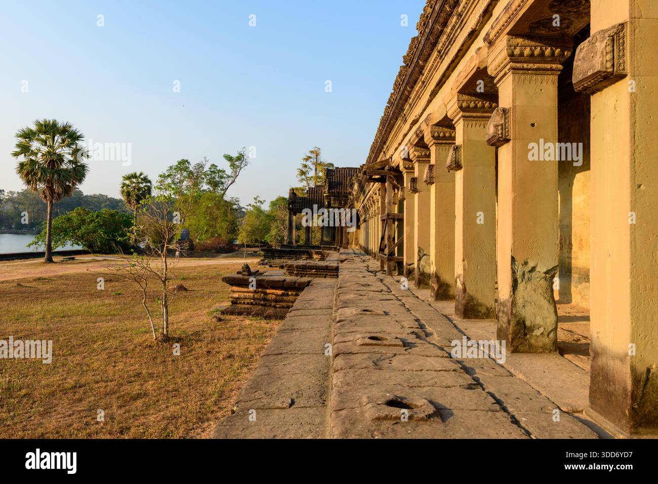 Palm trees surround historic hi-res stock photography and images - Alamy