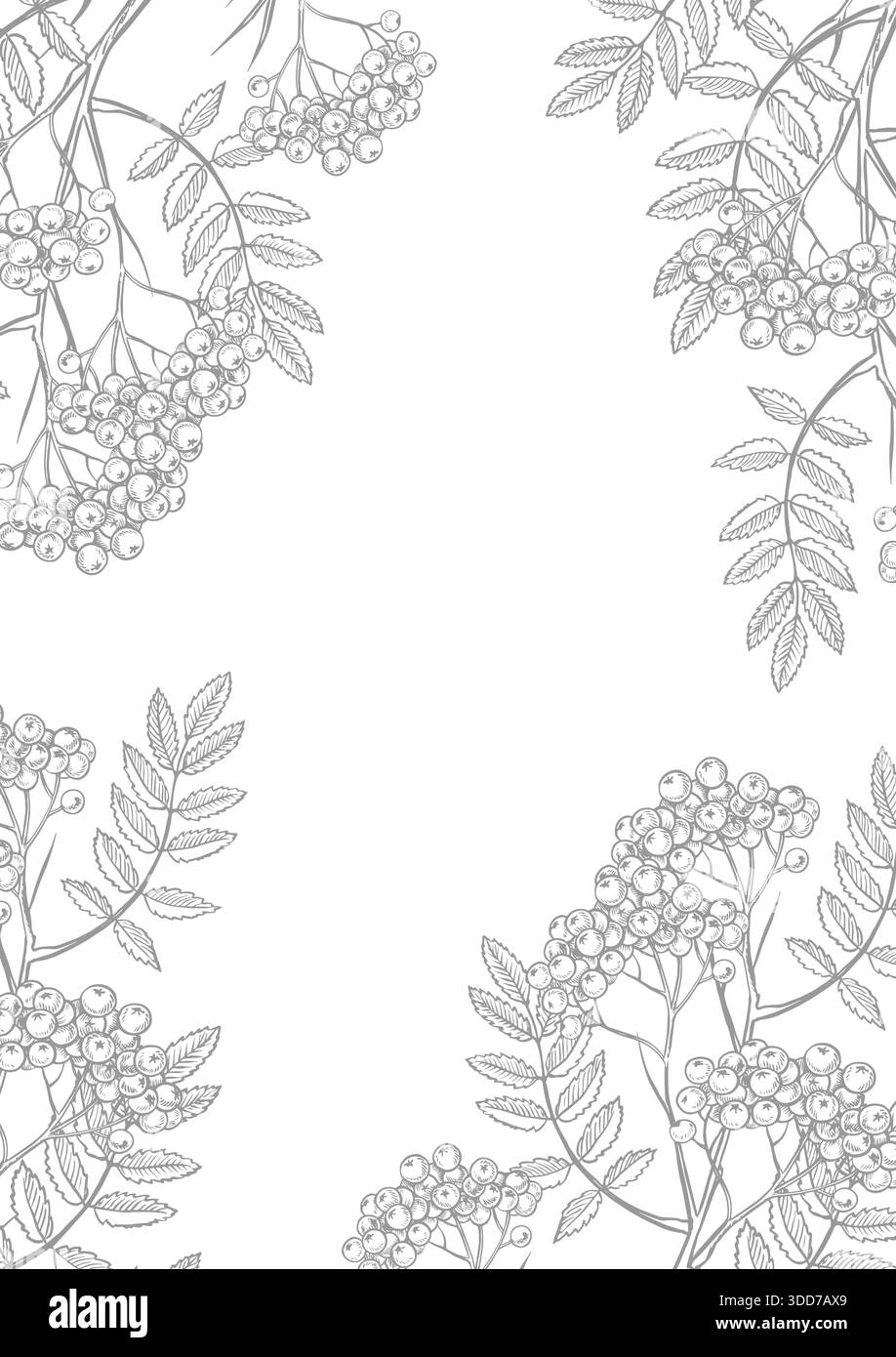 Ashberry Black and White Stock Photos & Images - Alamy