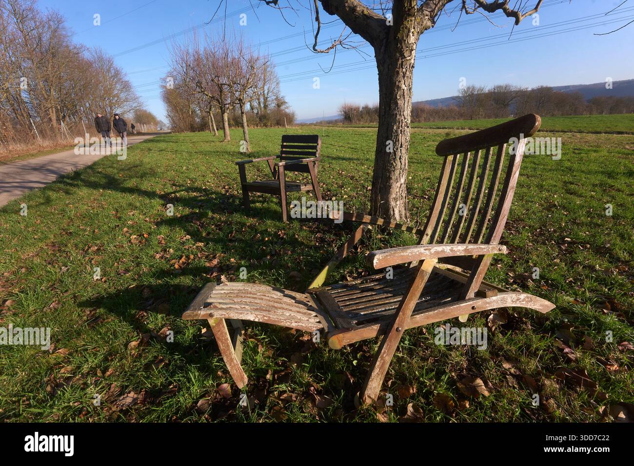 26 December 2025, Rhineland-Palatinate, Winningen: Sun loungers stand ...