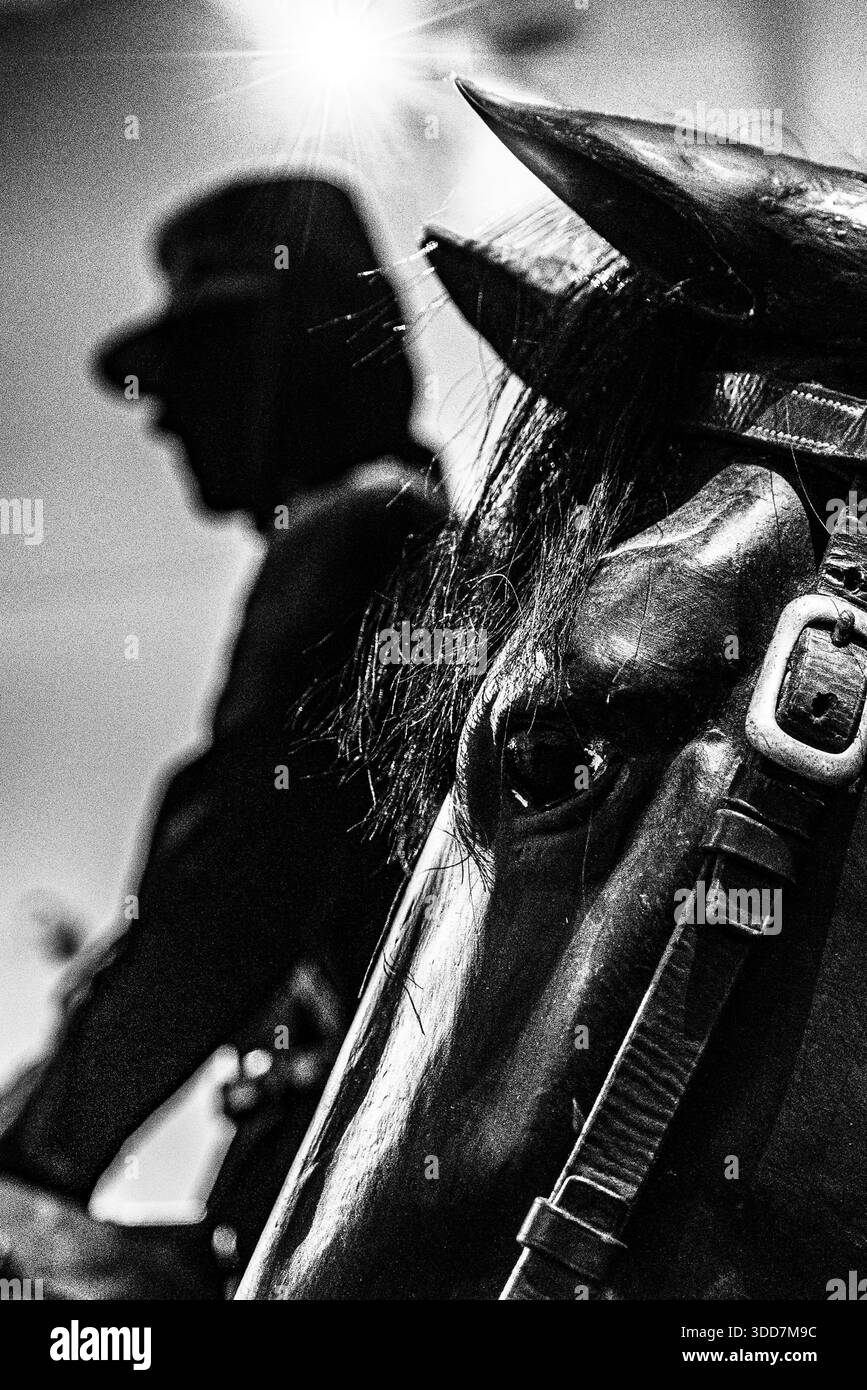 Photo Arnaud BEINAT/Maxppp. 2025/12/22, Meaux, France. Military horses ...
