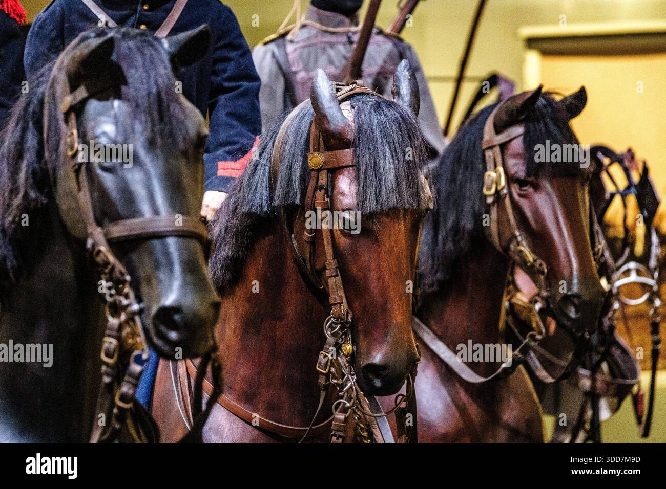 Photo Arnaud BEINAT/Maxppp. 2025/12/22, Meaux, France. Military horses ...