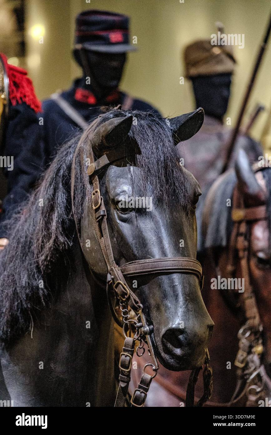 Photo Arnaud BEINAT/Maxppp. 2025/12/22, Meaux, France. Military horses ...