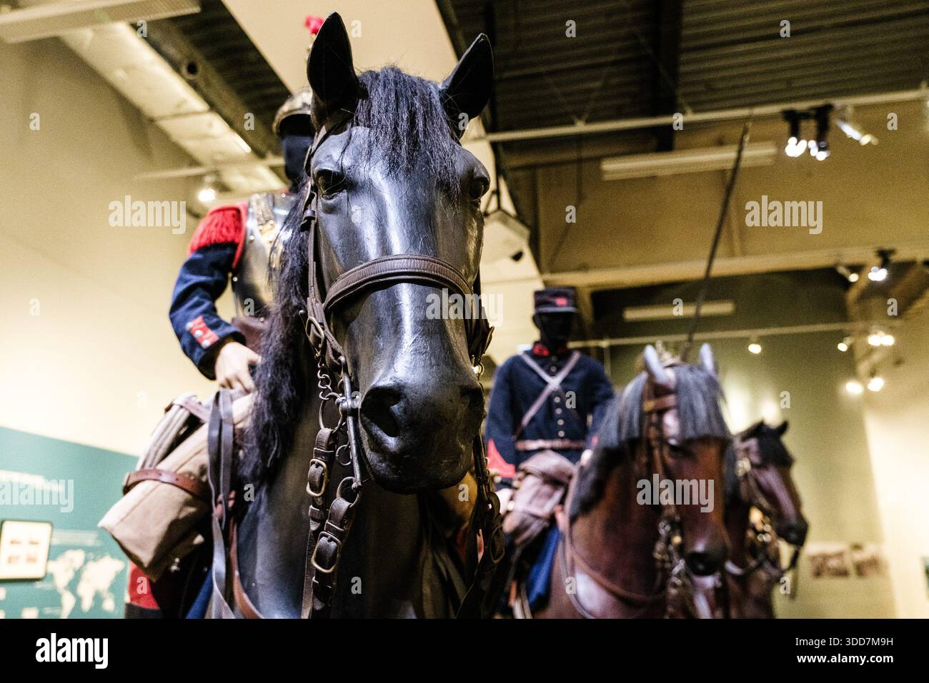 Photo Arnaud BEINAT/Maxppp. 2025/12/22, Meaux, France. Military horses ...