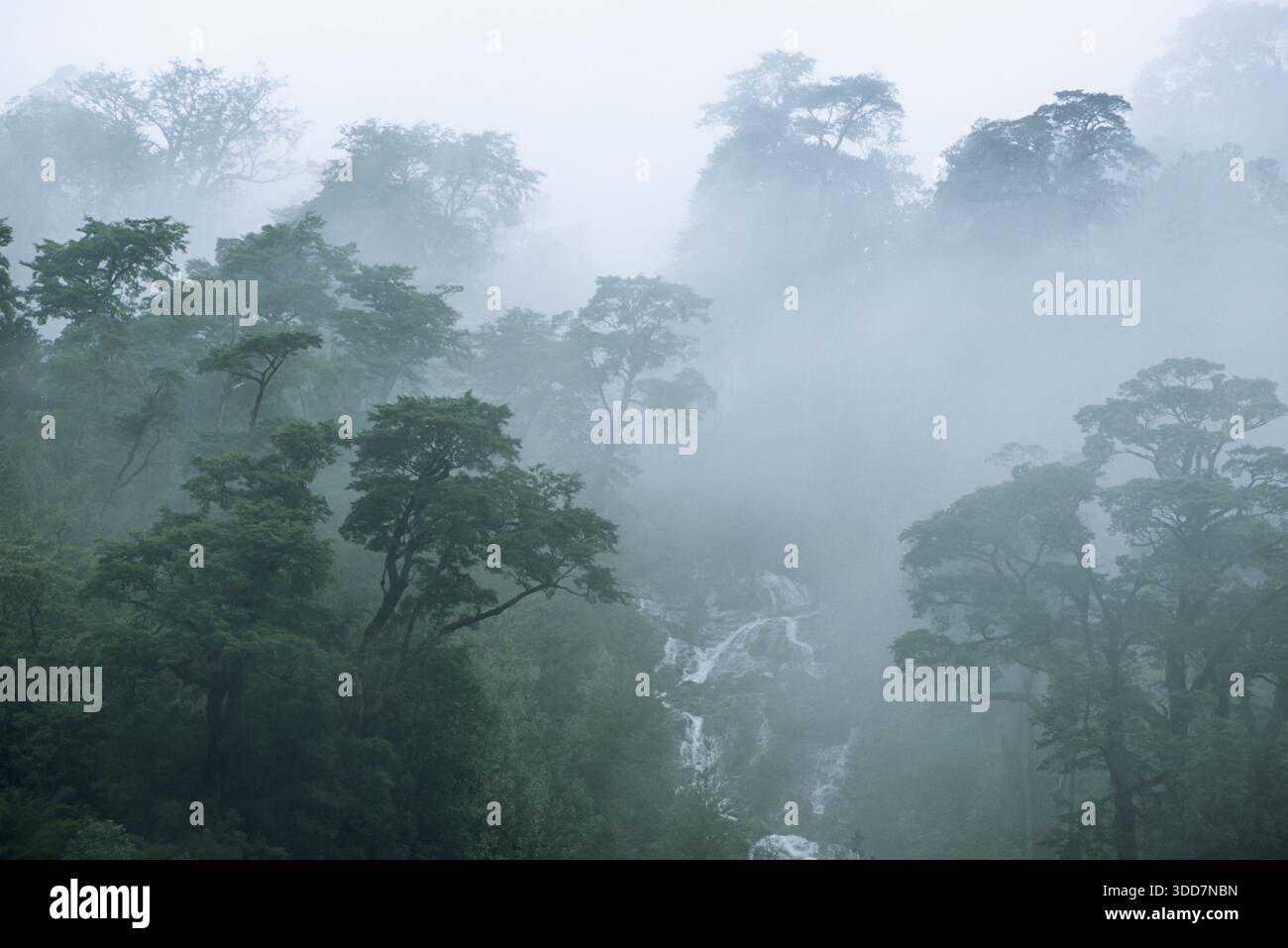 Verbs adjectives adverbs hi-res stock photography and images - Alamy