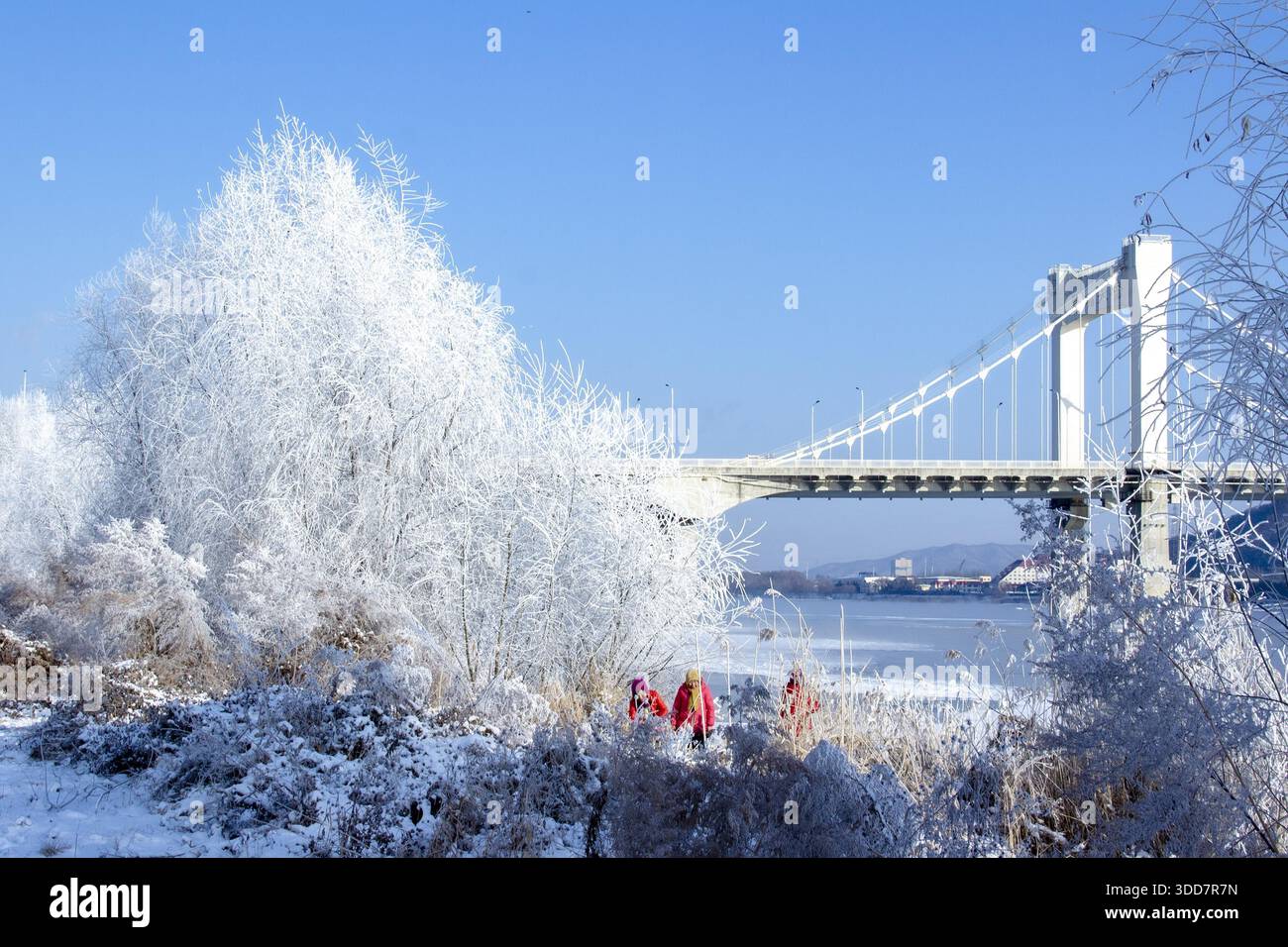 Rime scenery by the Songhua River in Jilin City, northeast China's ...