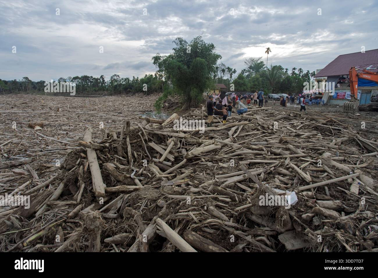 North Aceh, Indonesia. 28th Dec, 2025. A massive accumulation of timber ...