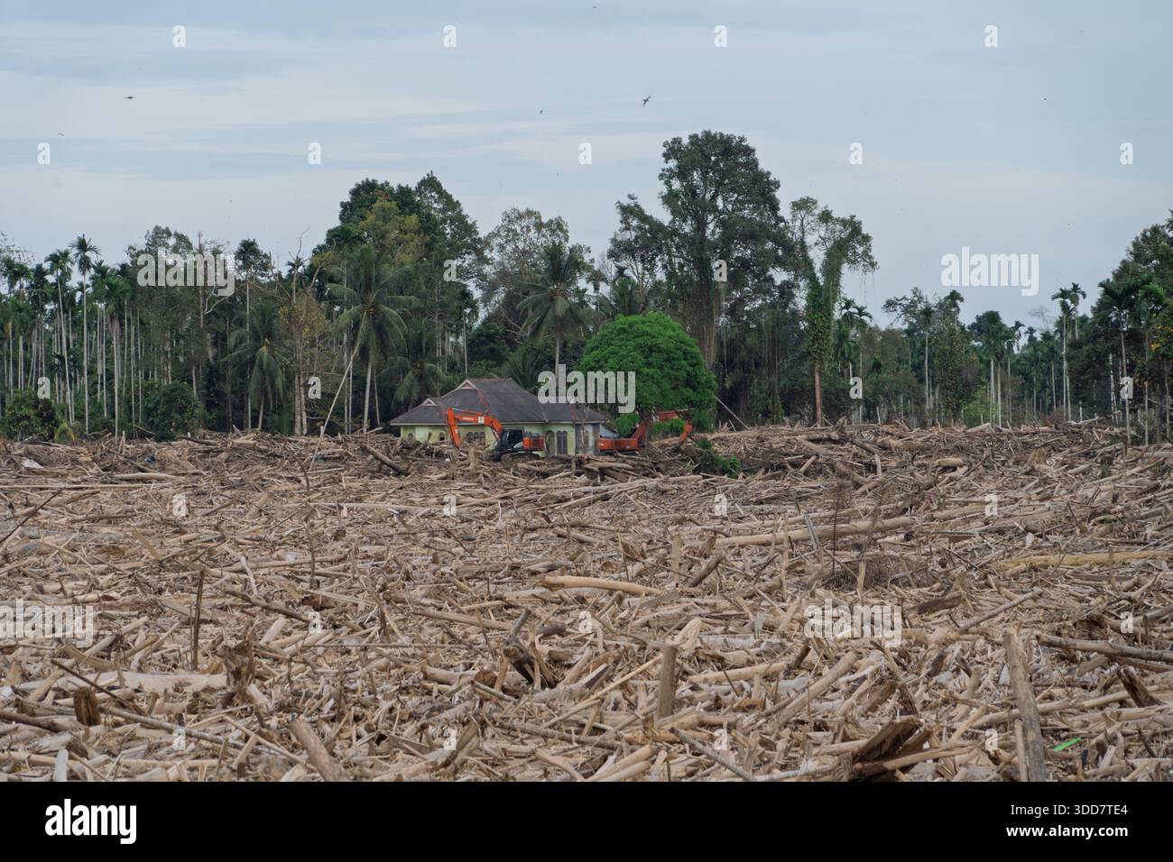 North Aceh, Indonesia. 28th Dec, 2025. A massive accumulation of timber ...