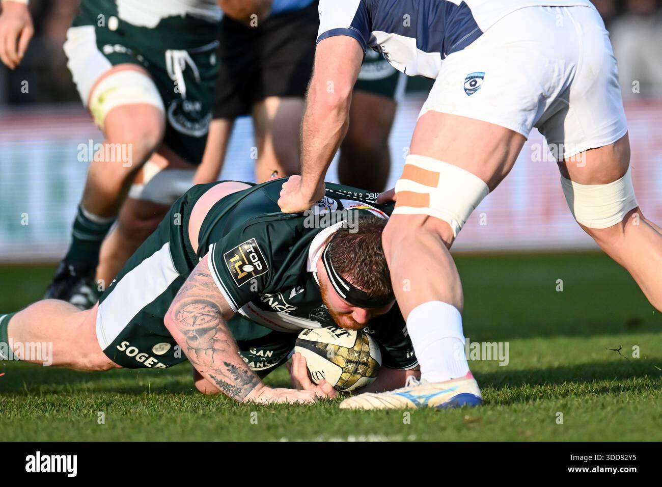 Thomas Laclayat of section paloise pau during the Top 14 match between ...