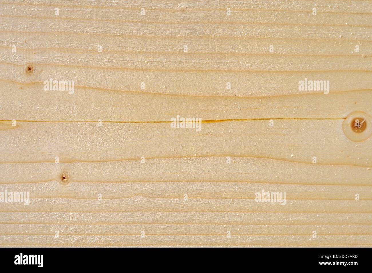 Distinct jaw structure hi-res stock photography and images - Alamy