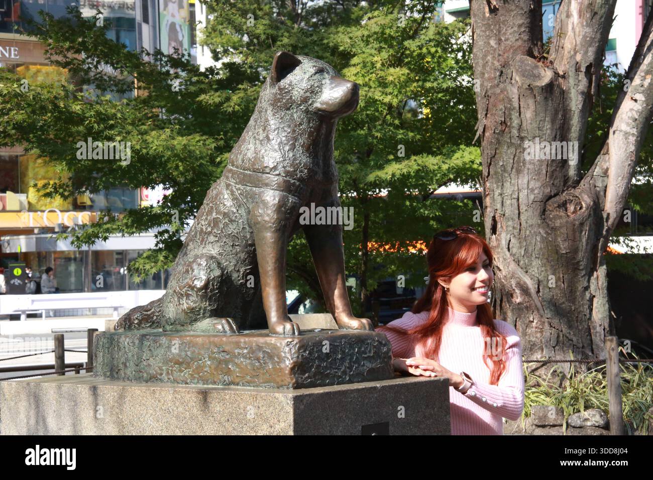 A photo shows Statue of Hachiko in Shibuya Ward, Tokyo on October 27 ...