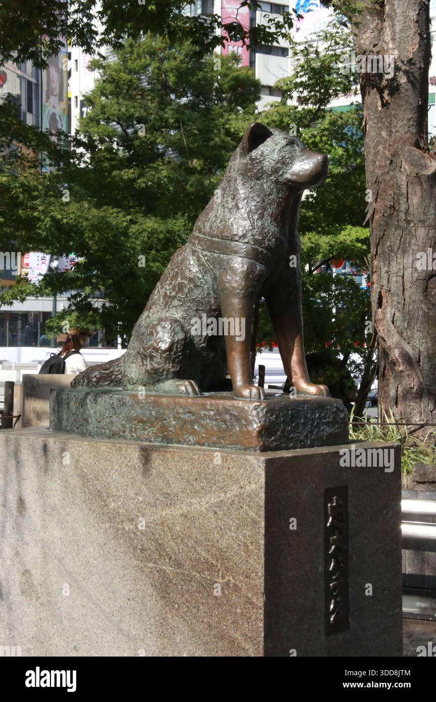 A photo shows Statue of Hachiko in Shibuya Ward, Tokyo on October 27 ...