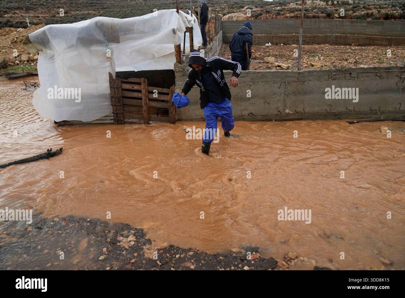 Palestinian residents work to clear their rain flooded farms, during a ...