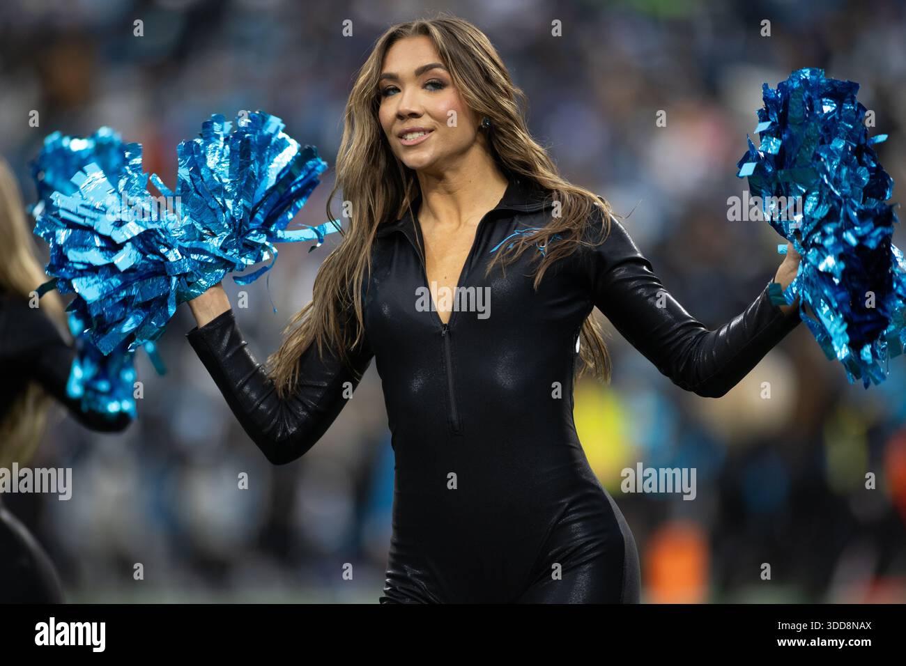 A Carolina Panthers TopCats cheerleader dances during a timeout at Bank ...