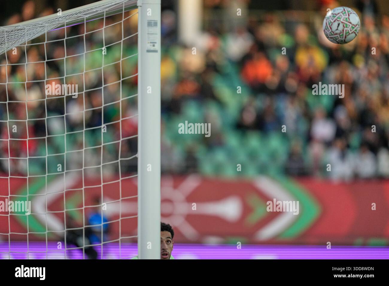 Egypt goalkeeper Mohamed El Shenawy stares at the ball during the ...
