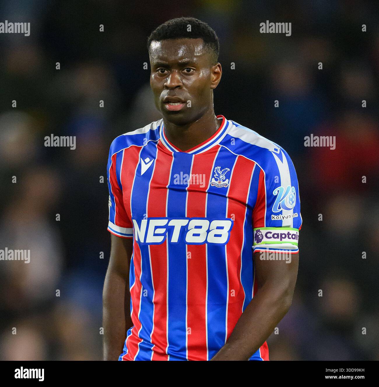 Crystal Palace v Tottenham Hotspur - Premier League - Selhurst Park ...