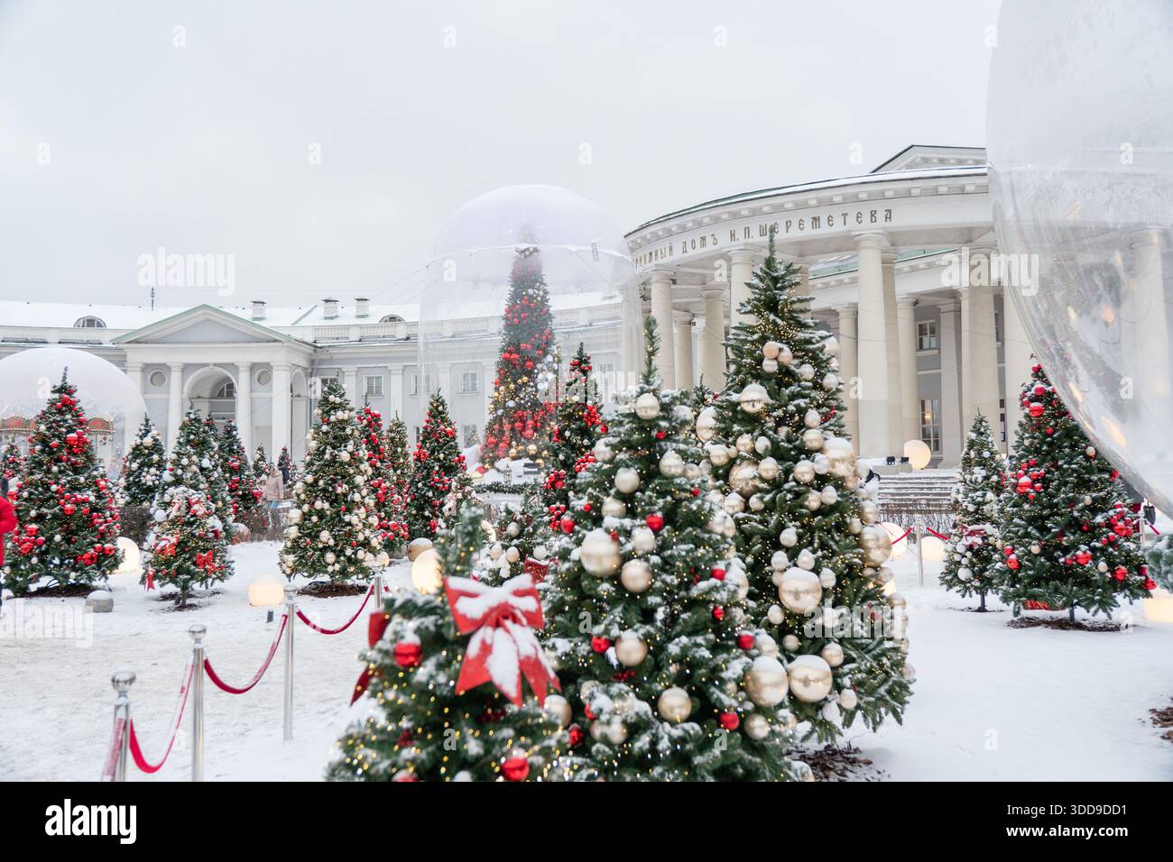 Moscow, Russia - December 28, 2025: Decorated Christmas trees stand on ...