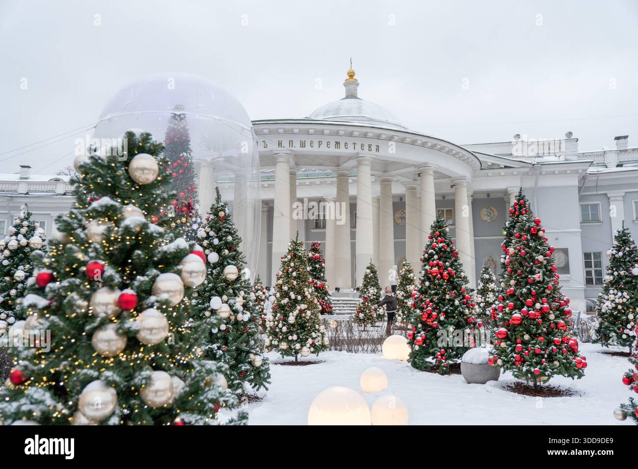 Moscow, Russia - December 28, 2025: Decorated Christmas trees stand on ...