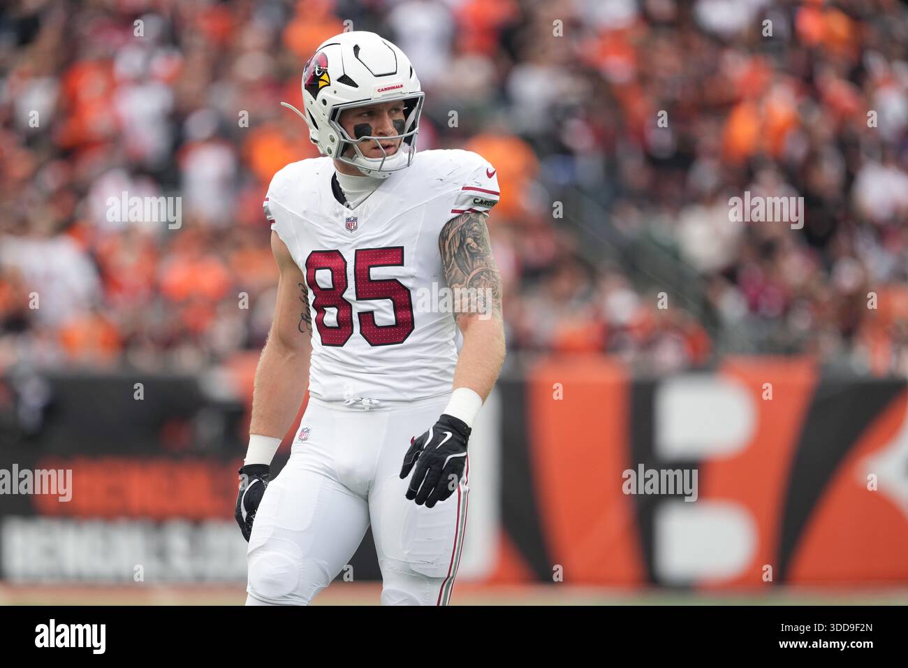 Arizona Cardinals tight end Trey McBride (85) jogs off the field after ...