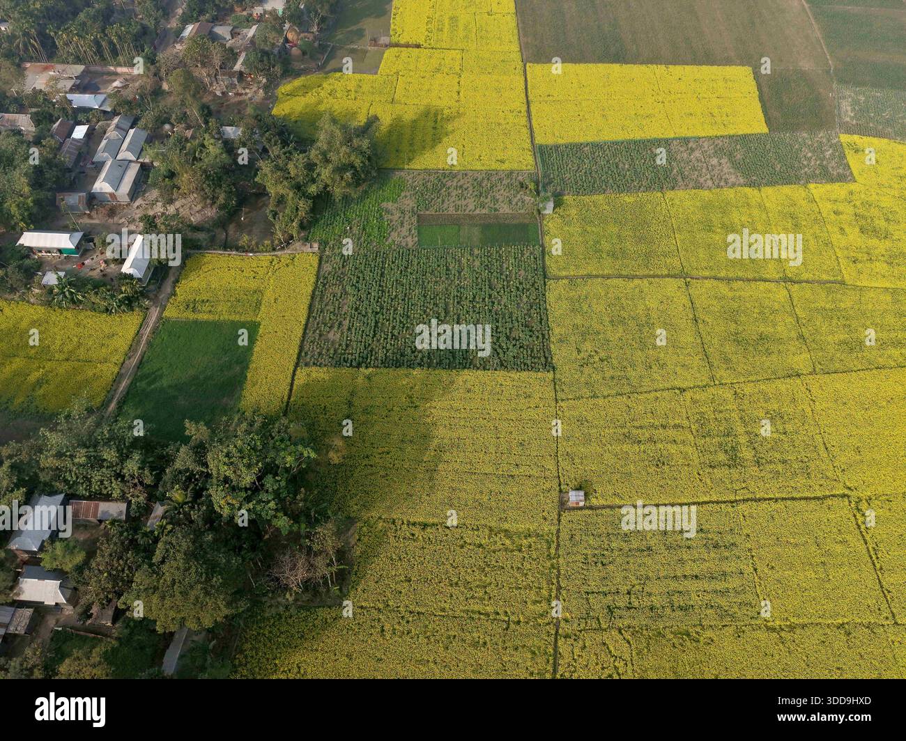 December 22, 2025: default (Credit Image: © SOPA Images via ZUMA Press ...