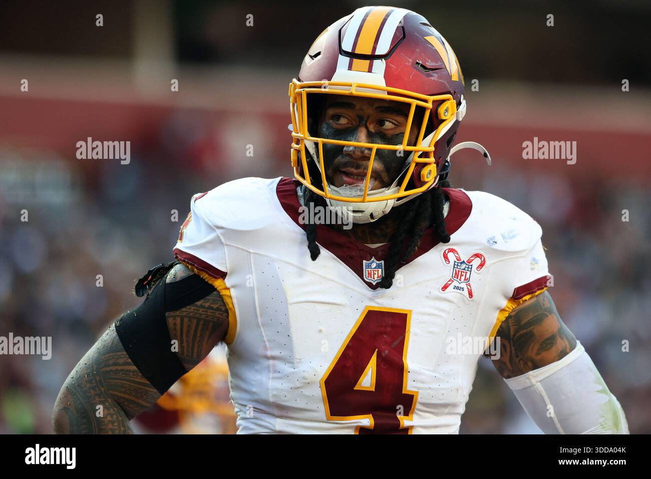 Washington Commanders linebacker Frankie Luvu (4) looks on during an ...