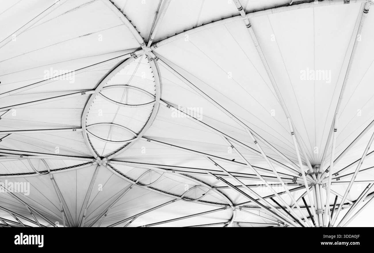 A tensile architectural roof structure captured from below, showing who ...