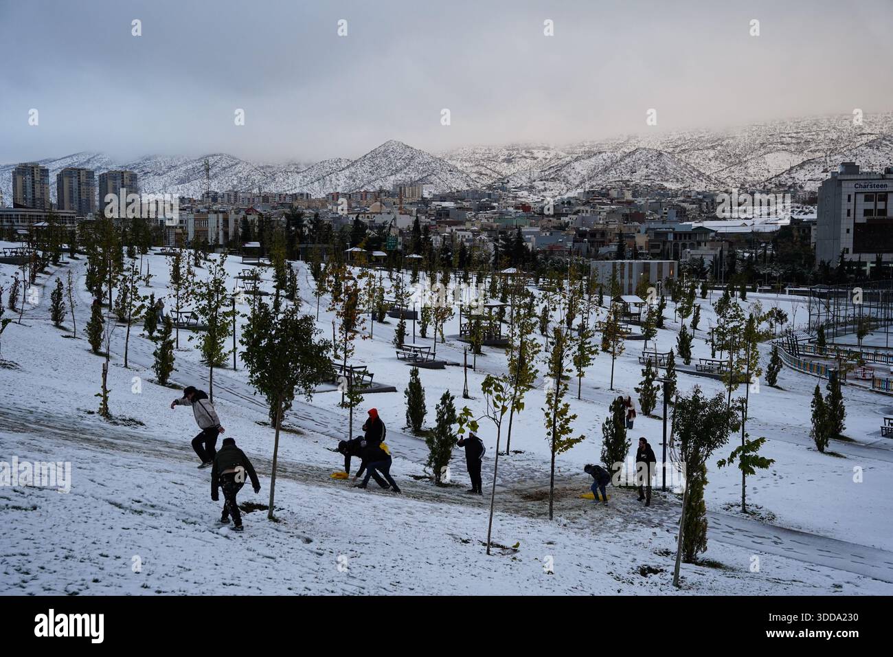 Iraqi Kurdish youths slide on snow in a park as snow covers in the city ...
