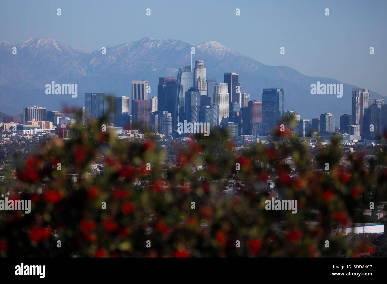 2026 rose parade hi-res stock photography and images - Alamy