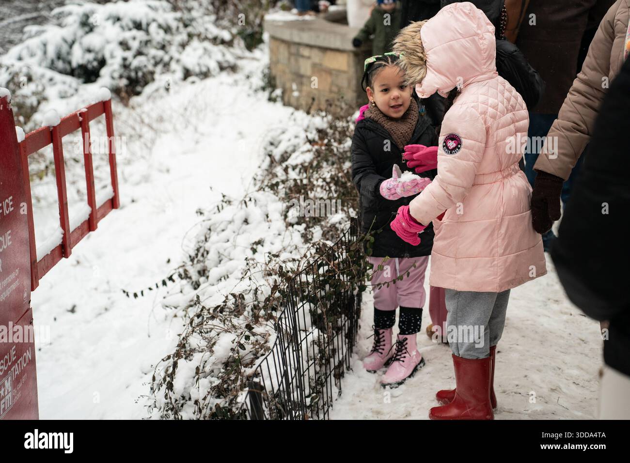 A young girl hands a half-made snowball to her sister after an ...