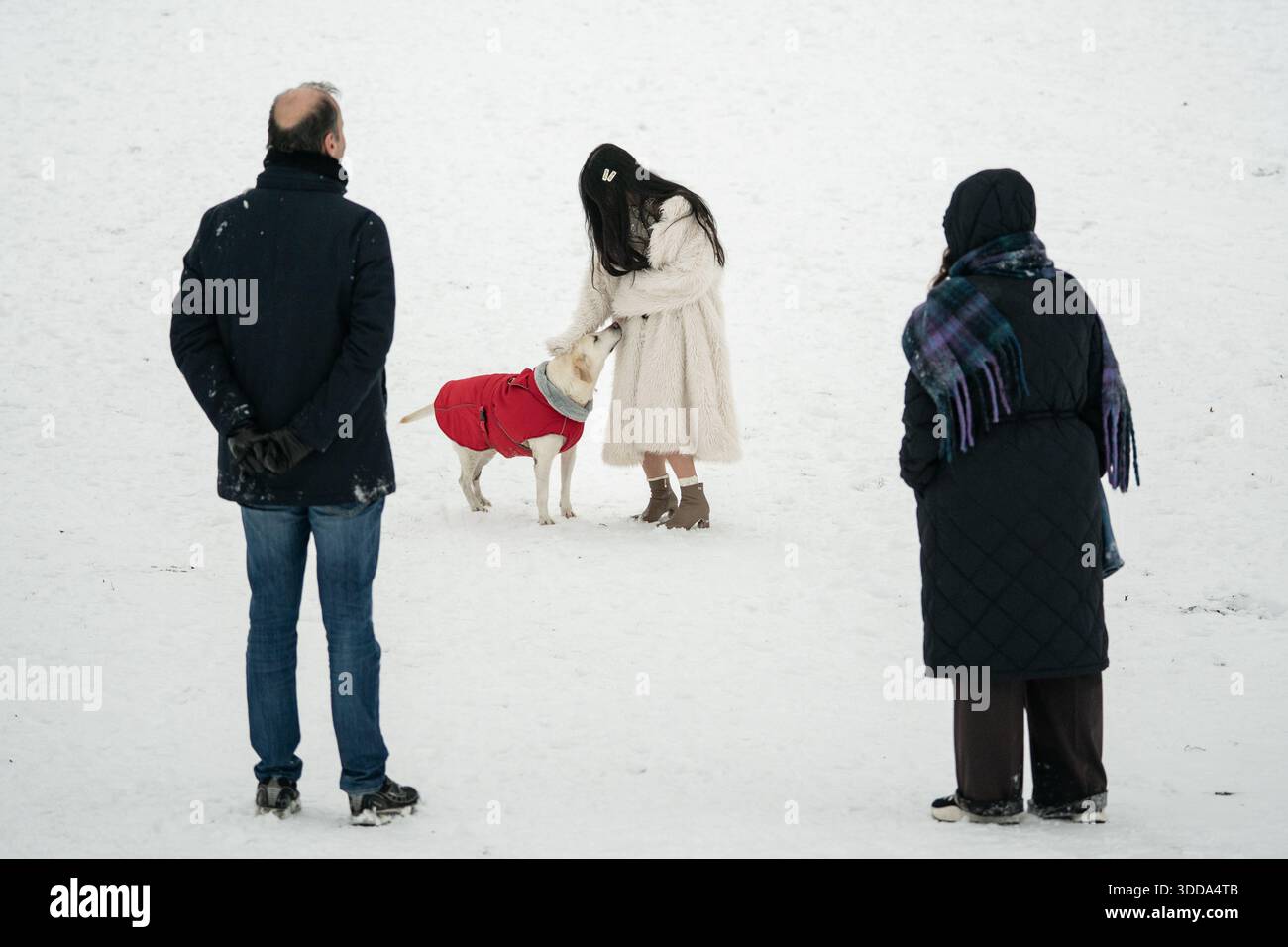 A woman is greeted by a dog in a red winter coat in Central Park after ...