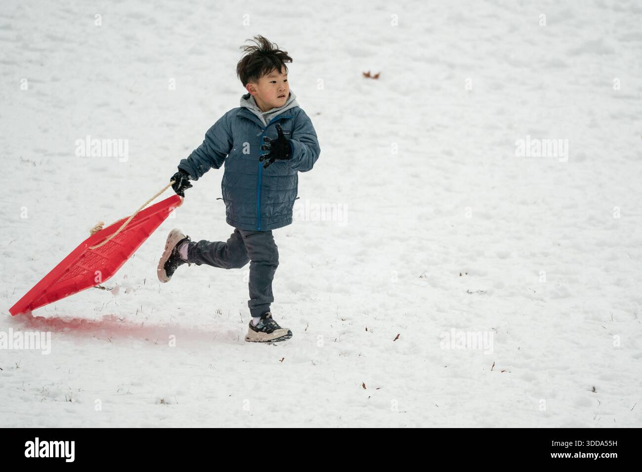 A boy runs with his red sled in Central Park after an overnight ...