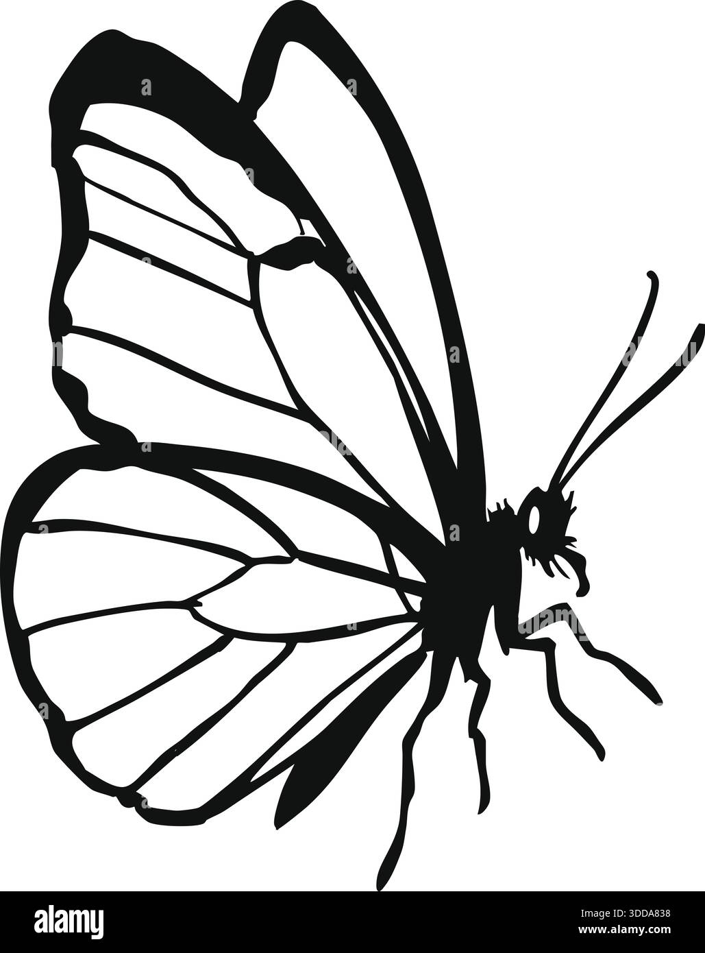 Organic transformation Black and White Stock Photos & Images - Alamy