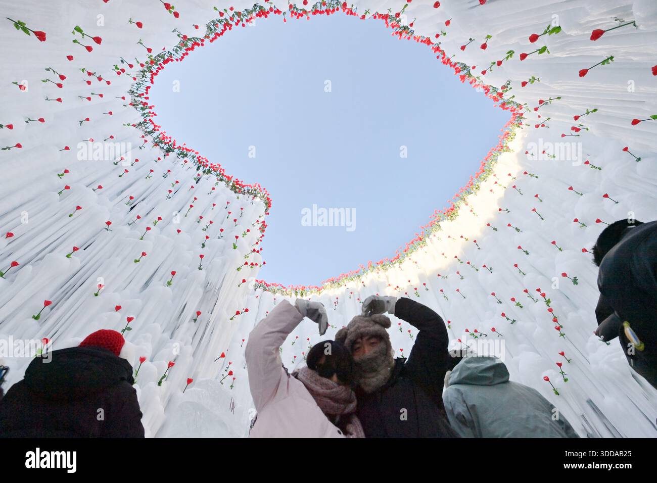 Changbai Mountain,China.26th December 2025. The frozen roses of the Ice ...