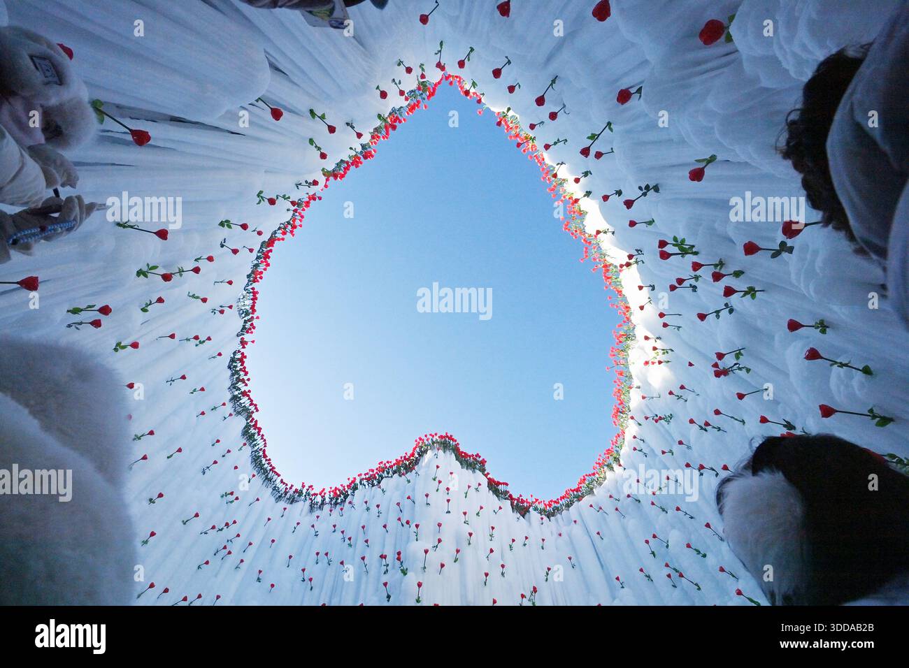 Changbai Mountain,China.26th December 2025. The frozen roses of the Ice ...