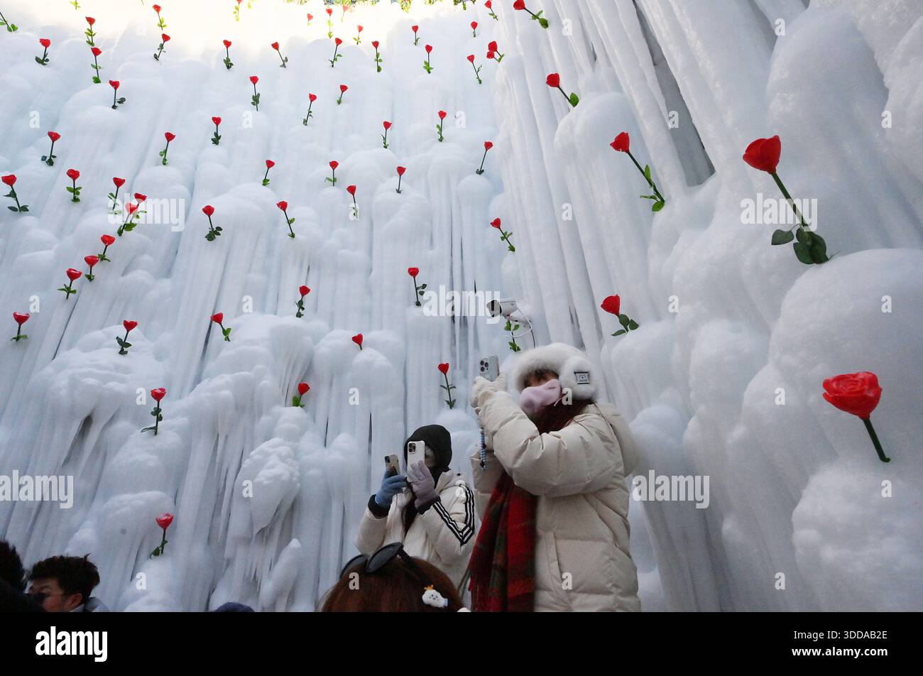 Changbai Mountain,China.26th December 2025. The frozen roses of the Ice ...